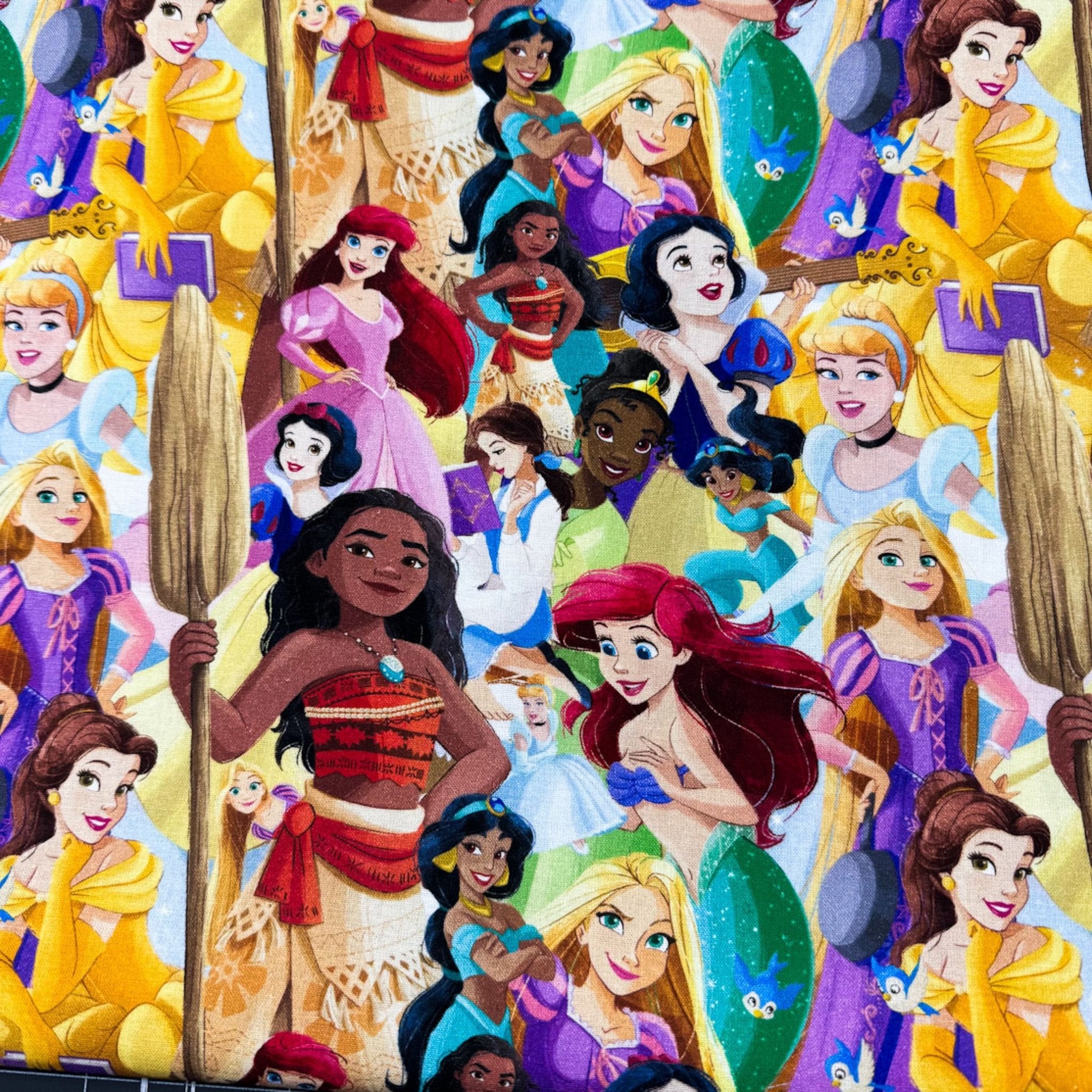 Disney Princess Cotton Fabric 80523 Princesses Packed – Mary Jo Fabrics